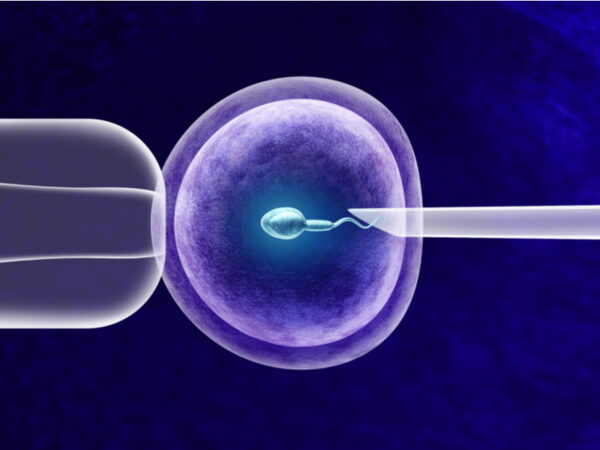Steps in The In-Vitro Fertilization Process - thinksofgames.com